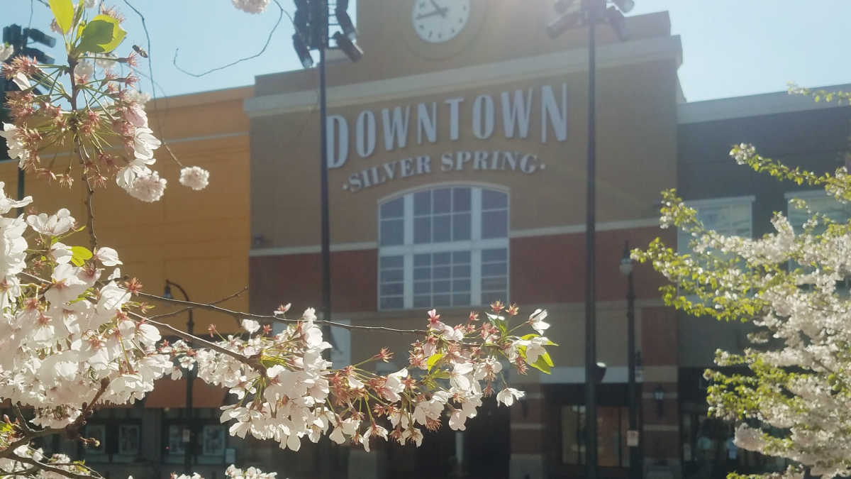 Virtual Backgrounds | Downtown Silver Spring