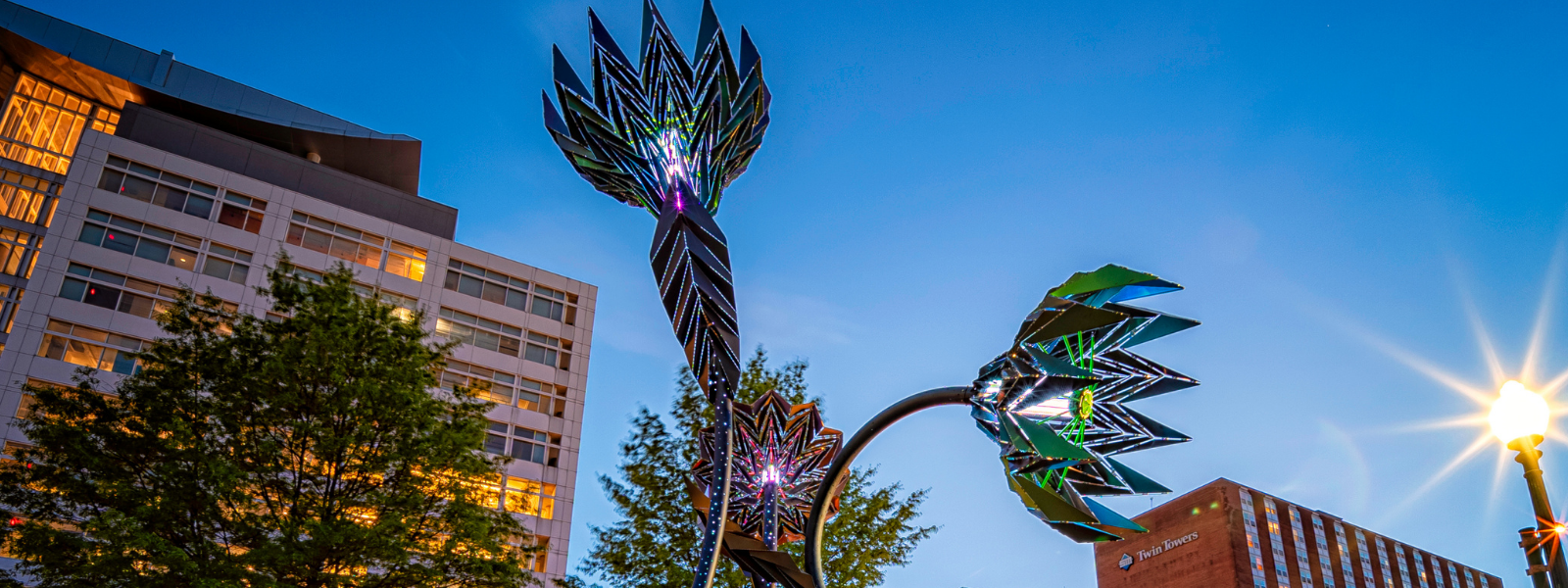 Experience Downtown Silver Spring Now | Downtown Silver Spring